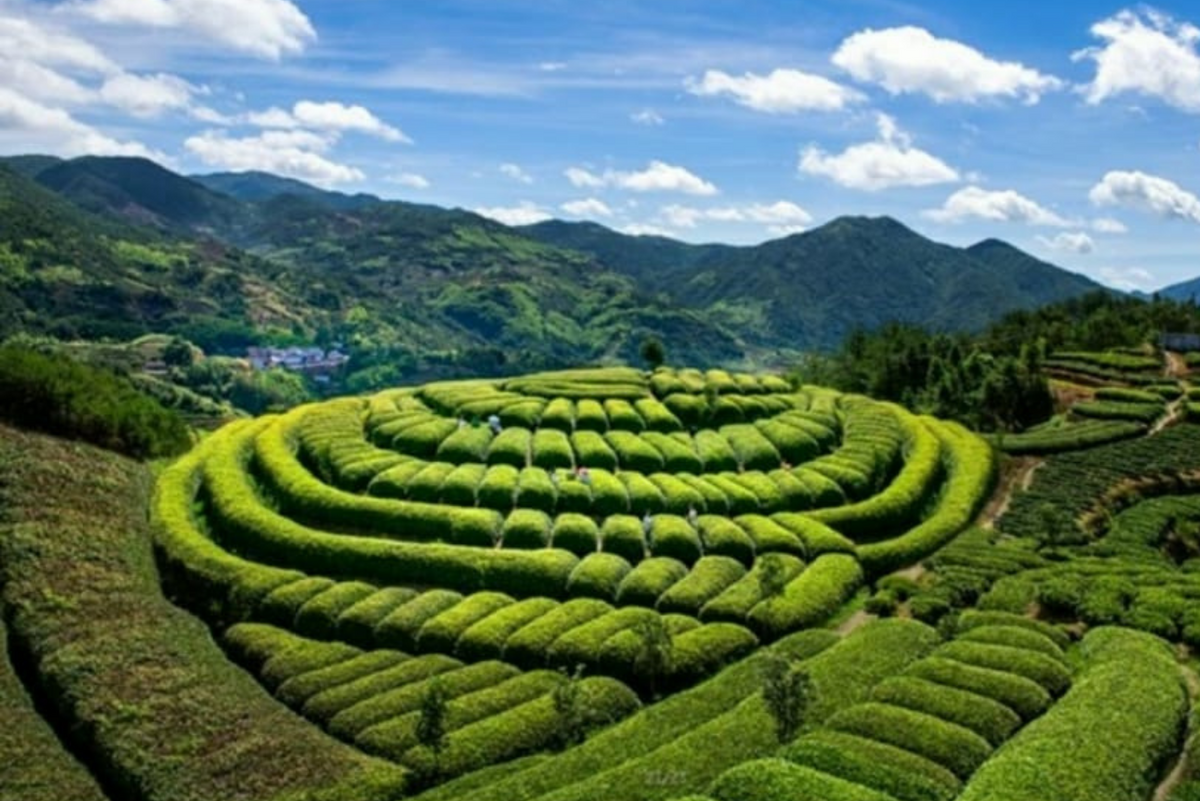 The Chinese tea capital Anxi in China - Oolong tea – Earl Orange Tea ...